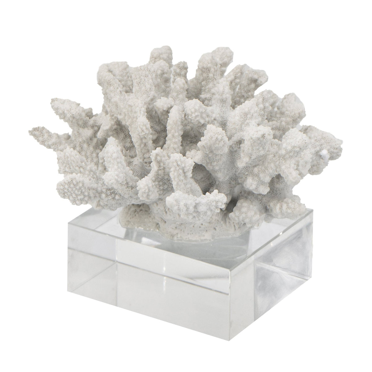 Coral Tabletop with Glass Base - A Luxurious Dining Experience – ironyhome